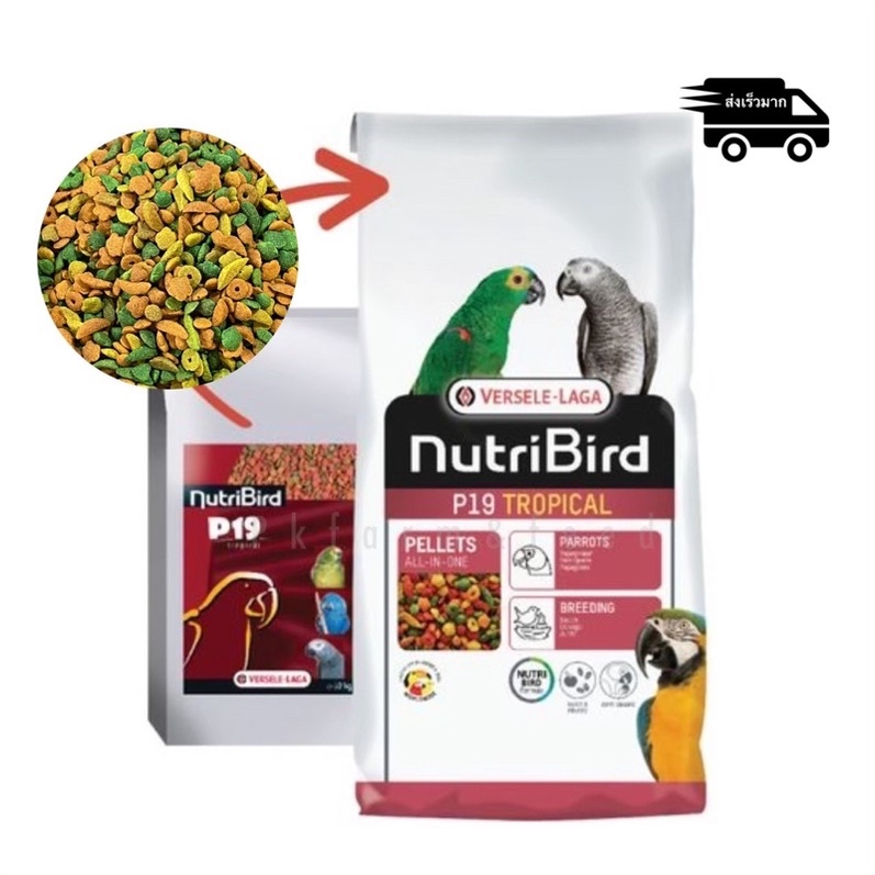 NutriBird P19 tropical อาหารนก นูทรีเบิร์ดพี19 (ขนาด10kg.) | Shopee ...