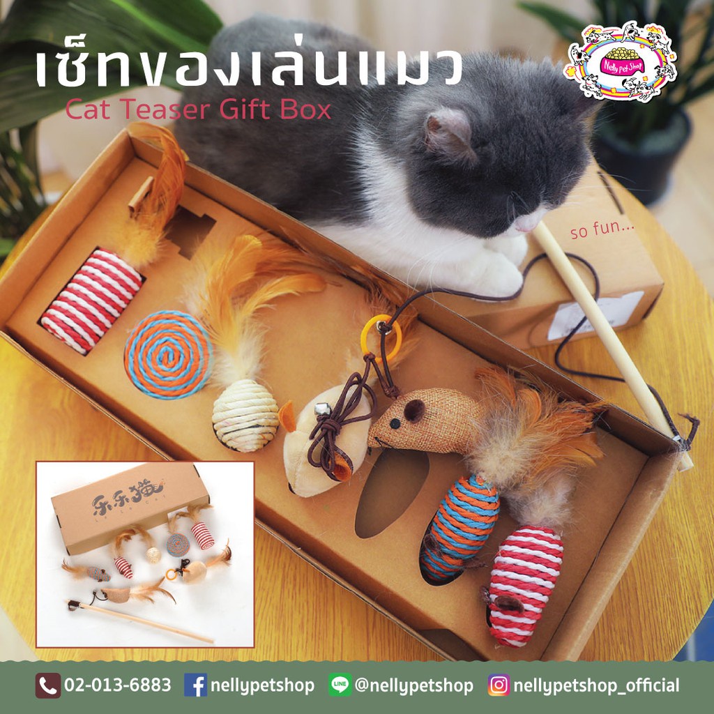 Cat teaser gift box ไม้ล่อแมว ไม้ตกแมว พร้อมของเล่น | Shopee Thailand