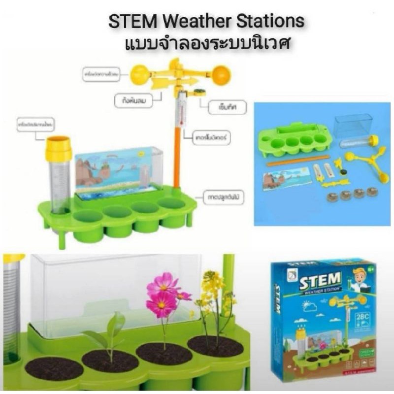 STEM Weather Stations ชุดแบบจำลองระบบนิเวศ | Shopee Thailand