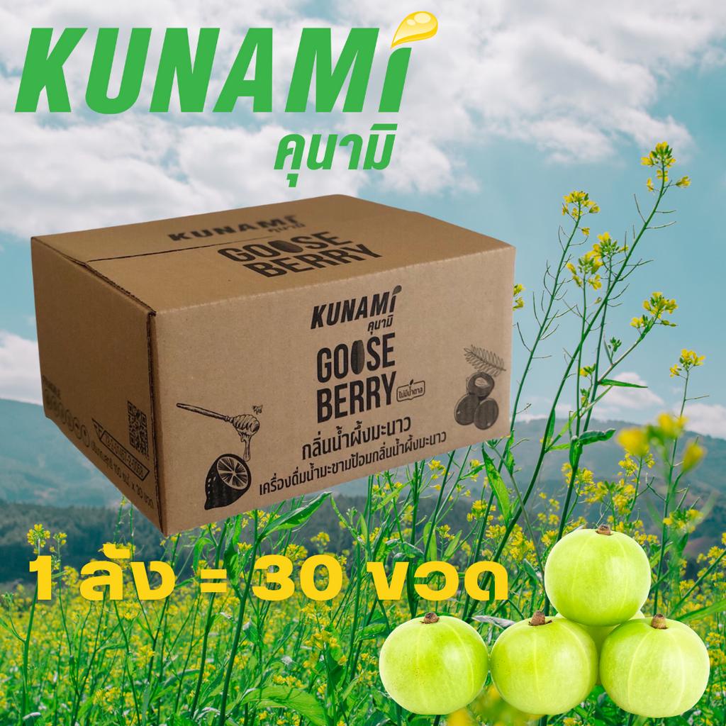 Kunami น้ำมะขามป้อม สูตร Functional drink vitamin c 200 % + zinc ขนาด ...