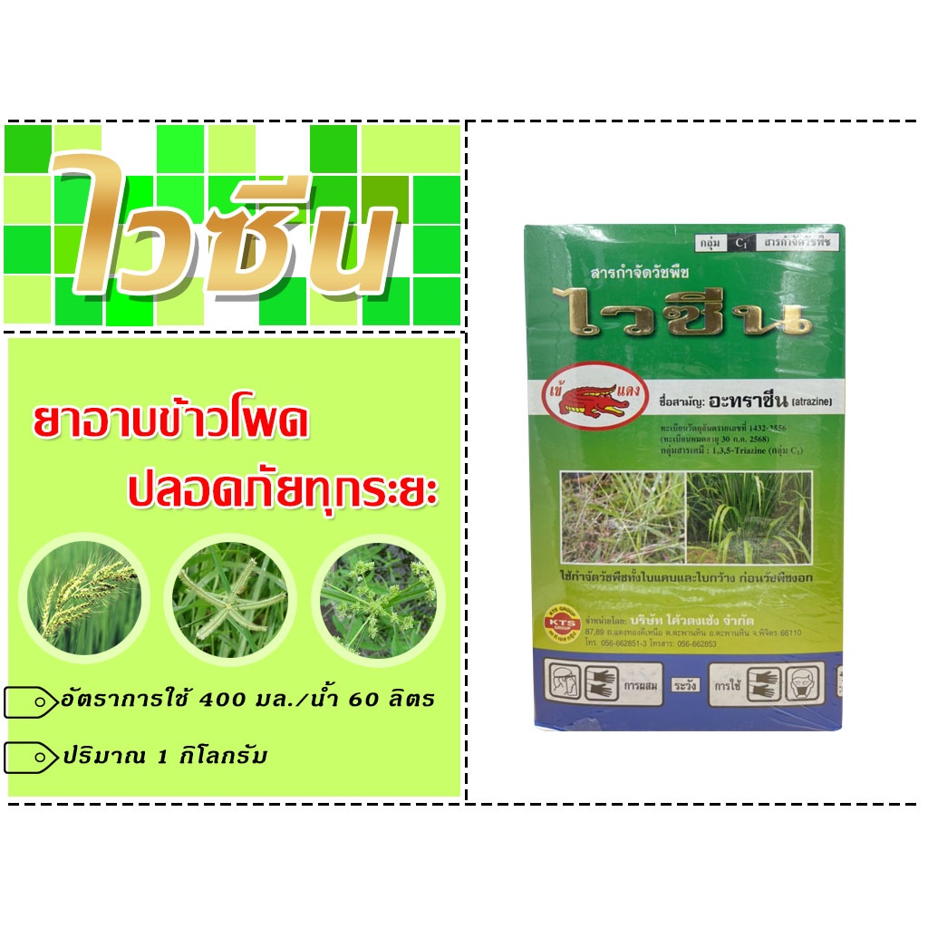 ไวซีน อาทราซีน80 ตราเข้แดง (Atrazine 80 WP) สารกำจัดวัชพืช ใบแคบ ใบ ...