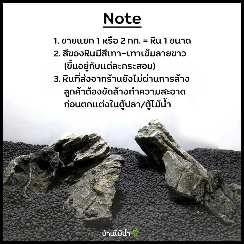 หินเซนริว Zenryu Stone เซนริว ตกแต่ง ตู้ไม้น้ำ ตู้ปลา หินจัดสวน เทอร์ราเรียม | บ้านไม้น้ำ🌿 ...
