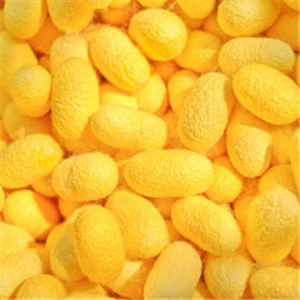 ผงรังไหม sericin extract powder 25g ผงสีขาวครีม 006322 สินค้าเป็น ...