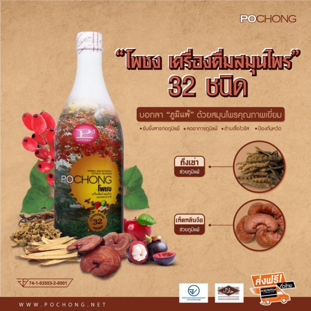 สมุนไพรโพชง Pochong 12 ขวด แถมฟรี 2ขวดเล็ก ราคา11400+แถม ยาสีฟัน30g 2 ...