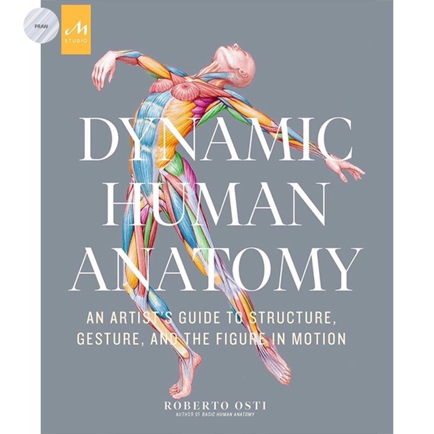 DYNAMIC HUMAN ANATOMY : AN ARTIST'S GUIDE TO STRUCTURE, GESTURE, AND ...