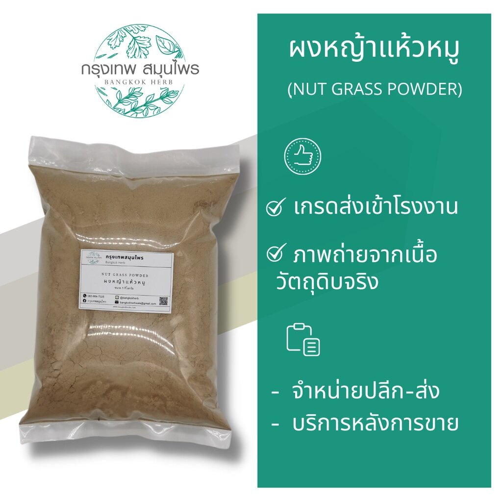 ผงหญ้าแห้วหมู 1 กิโลกรัม หญ้าแห้วหมูผง Nut grass Powder | Shopee Thailand