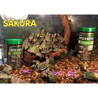Sakura Turtle & Reptile (อาหารเต่า และสัตว์เลื้อยคลาน สารอาหารสูง เสริม ...