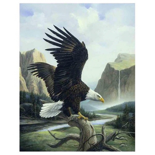 Diy 5D 5D รอบลูกปัดเต็ม Eagle เพชรจิตรกรรม,ลูกปัด | Shopee Thailand