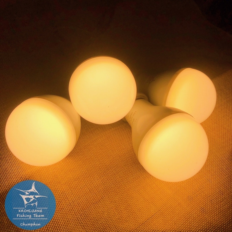 หลอดไฟตกหมึก สีวอร์มไวท์ หรือ แสงเทียน LED กรมหลวงฟิชชิ่ง ไฟตกหมึก ใช้ ...