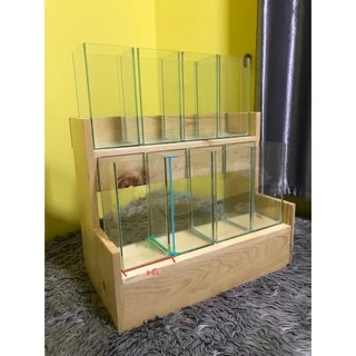 ชั้นวางโหลปลากัด ราคาพิเศษ | ซื้อออนไลน์ที่ Shopee ส่งฟรี*ทั่วไทย!