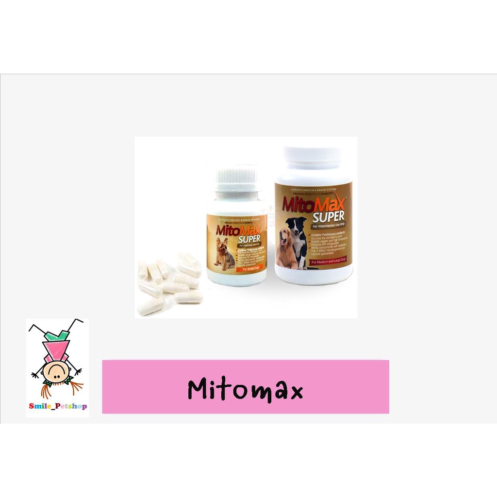 Mitomax super โปรไบโอติก สำหรับสุนัข บรรจุ 30 แคปซูล | Shopee Thailand