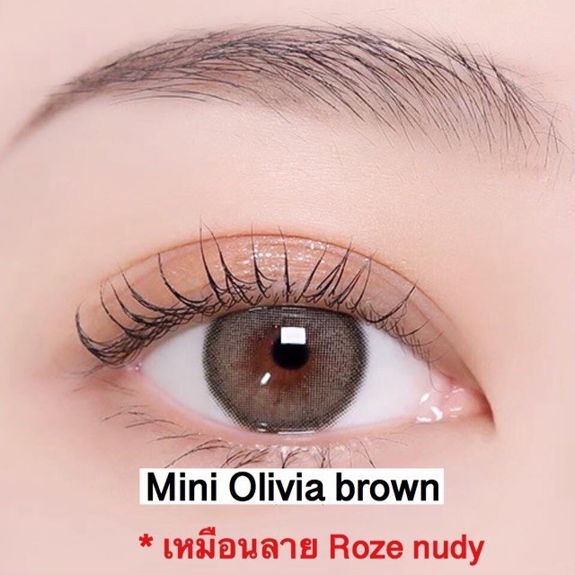 คอนแทคเลนส์ Mini Olivia Brown / Light Brown / Gray (Kitty Kawaii) ขนาดมินิ 🌷 ลายฮิต ขายดีมาก ...
