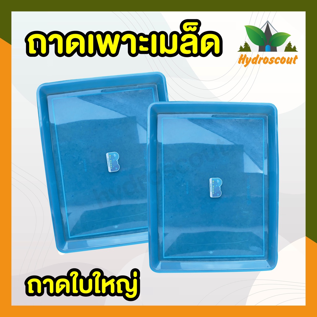 ถาดเพาะเมล็ดผักไฮโดรโปนิกส์ (ถาดใบใหญ่) by hydroscout | Shopee Thailand