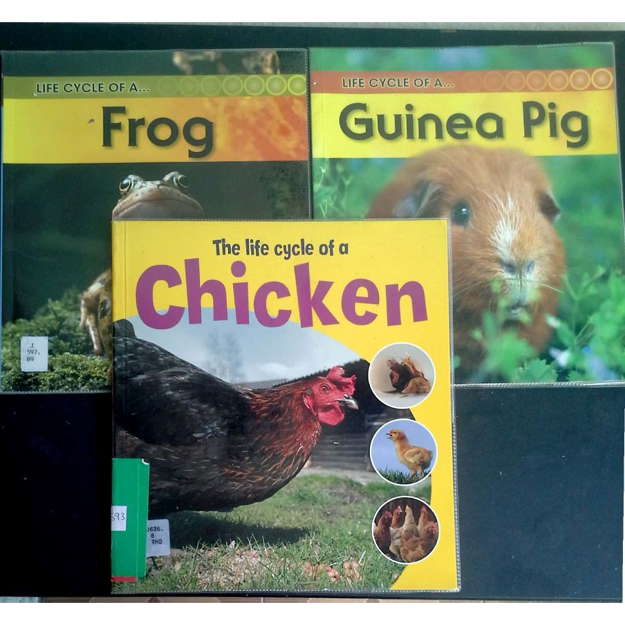 Life Cycle of a Frog, Guinea Pig and Chicken (416) หนังสือมือสอง ปกอ่อน ...