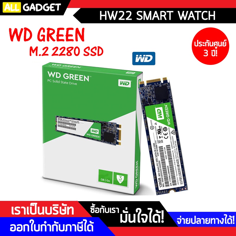 240 GB SSD M.2 WD GREEN (WDS240G2G0B) SATA M.2 2280 Solid State Drive ...