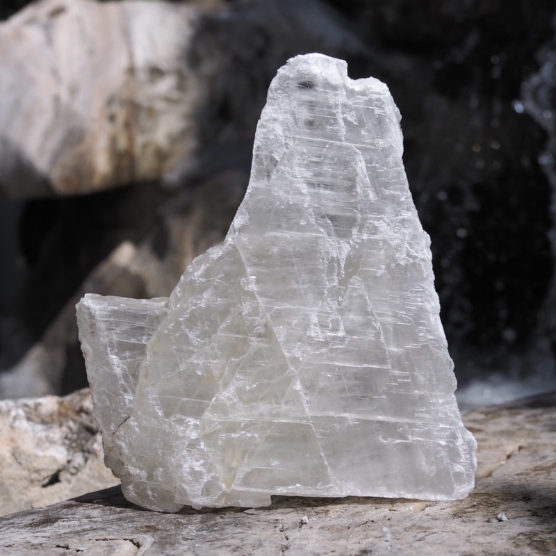 Selenite Raw (ขนาดใหญ่+) (Liveสด) | Shopee Thailand