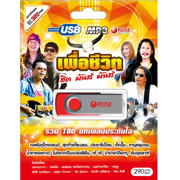USB แฟลชไดร์ฟ Flash Drive MP3 100 เพลง เพื่อชีวิตฮิตมันส์มันส์ | Shopee ...