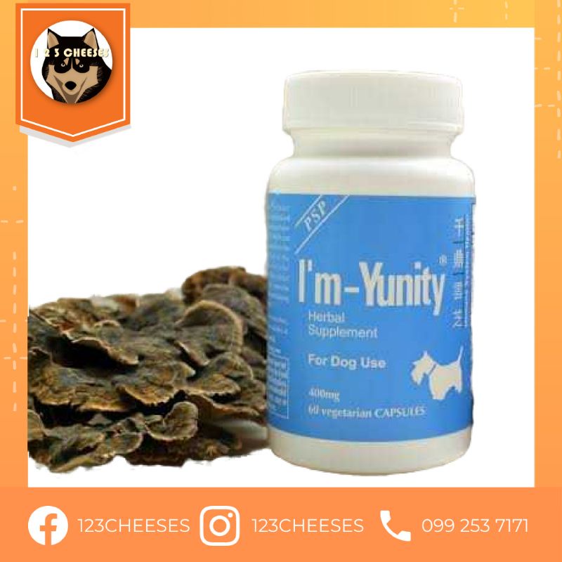 I'm-Yunity for dogs สารสกัดจากเห็ดเกลียวเมฆ บำรุงระบบภูมิคุ้มกัน สำหรับ ...