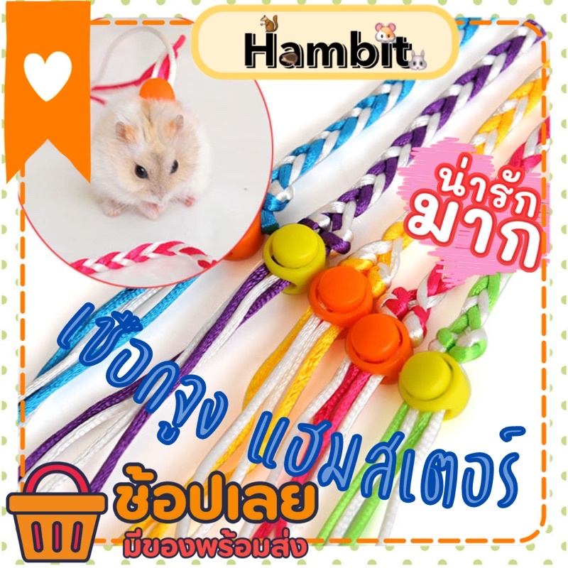 Hambit. สายจูงแฮมสเตอร์ | Shopee Thailand