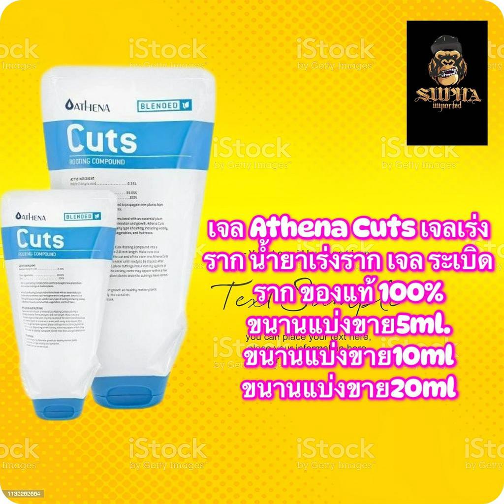 เจลเร่งราก Athena Cuts เจลเร่งราก น้ำยาเร่งราก เจล ระเบิดราก ของแท้ 100 ...