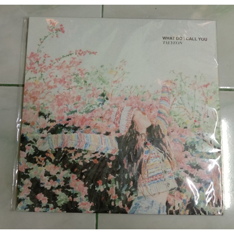 พร้อมส่ง แผ่นเสียงแทยอน LP Taeyeon | Shopee Thailand