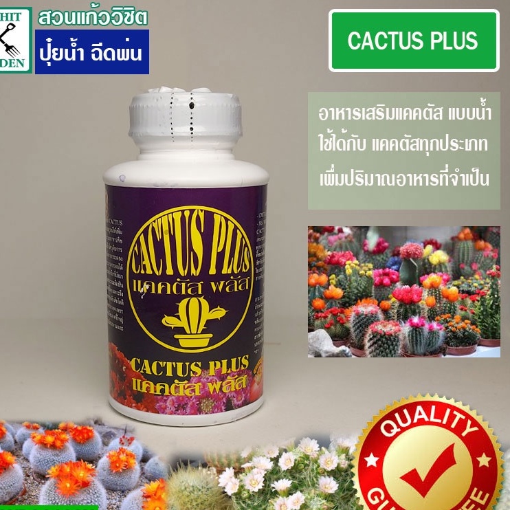สูตรเข้มข้น CACTUS PLUS 1 ขวด บรรจุ 250 ซีซี ปุ๋ยน้ำ ฉีดพ่นแคคตัส ปุ๋ยสำหรับกระบองเพชร ปุ๋ยใส่ ...