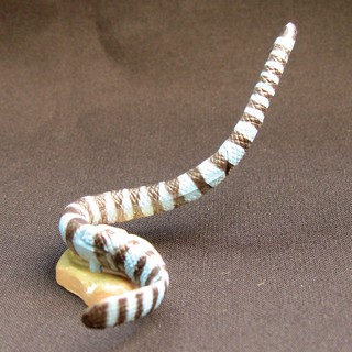 Mini Figure Model งูทะเล ERABU SEA SNAKE ขนาด 2 นิ้ว สวย เหมือนจริง ...