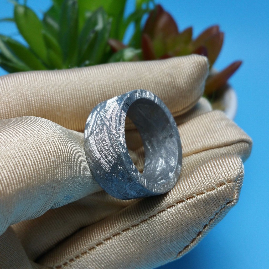 Meteorite ring Gibeon Widmanstatten pendant iron-nickel US size 9.5 ...