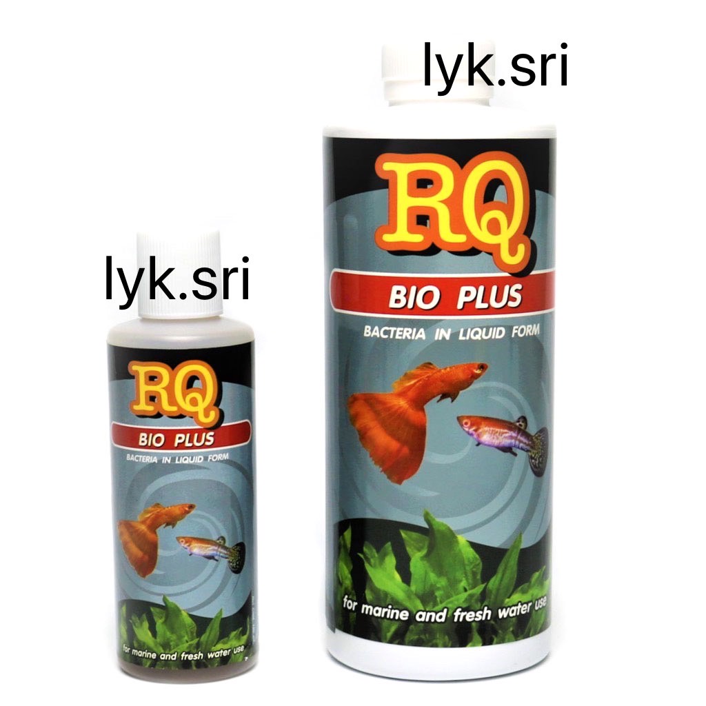 RQ BIO PLUS แบคทีเรียย่อยสลายของเสีย ช่วยทำให้น้ำสะอาด | Shopee Thailand