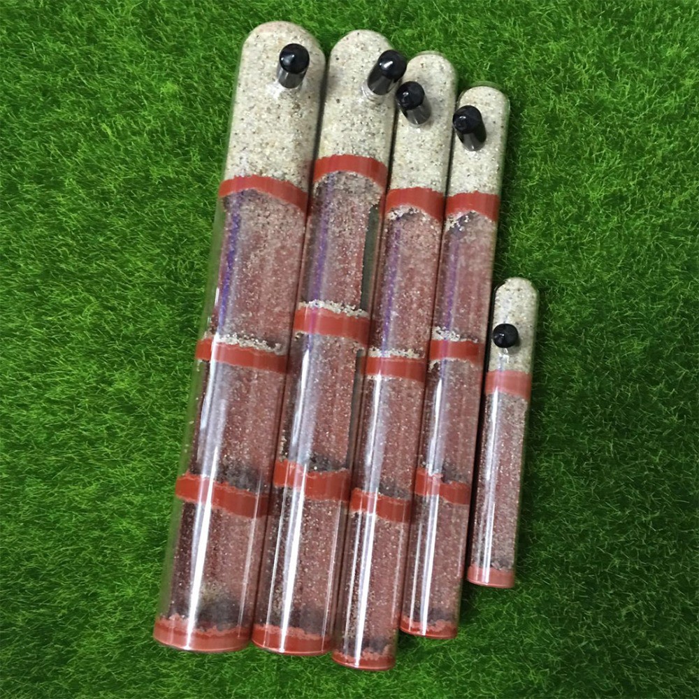 Ant Farm Bamboo Test Tube Ant Nest DIY Ecological Various Sizes Tubes ...