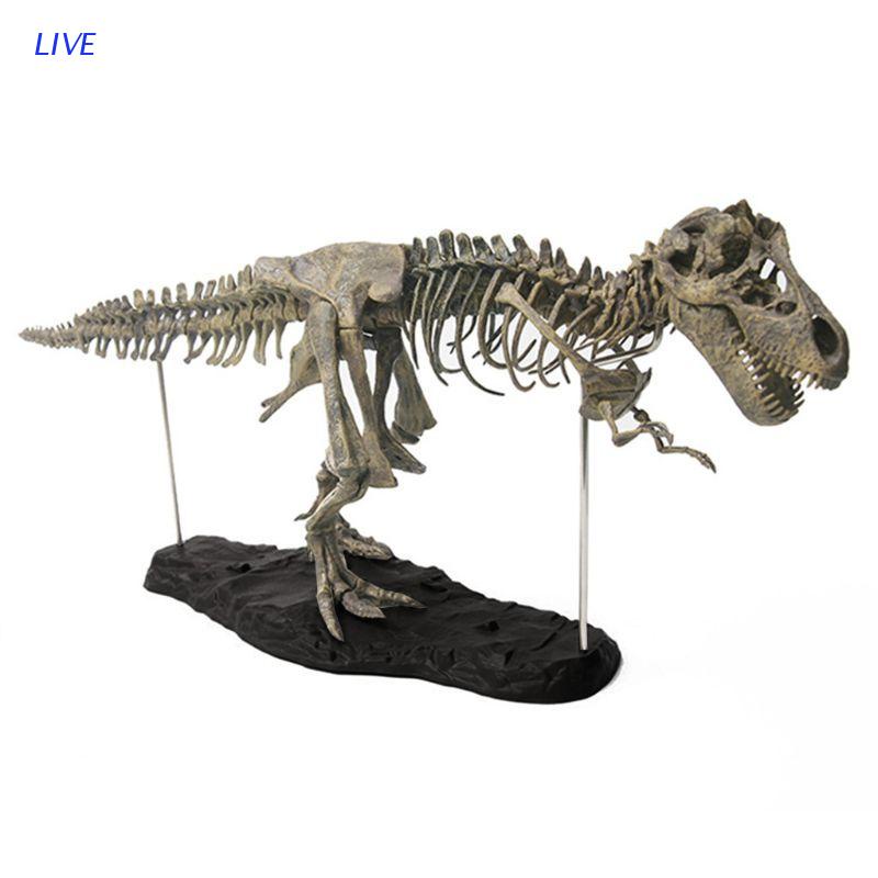 Live T Rex Tyrannosaurus Rex โมเดลตุ๊กตาไดโนเสาร์ของเล่นสําหรับเด็ก ...