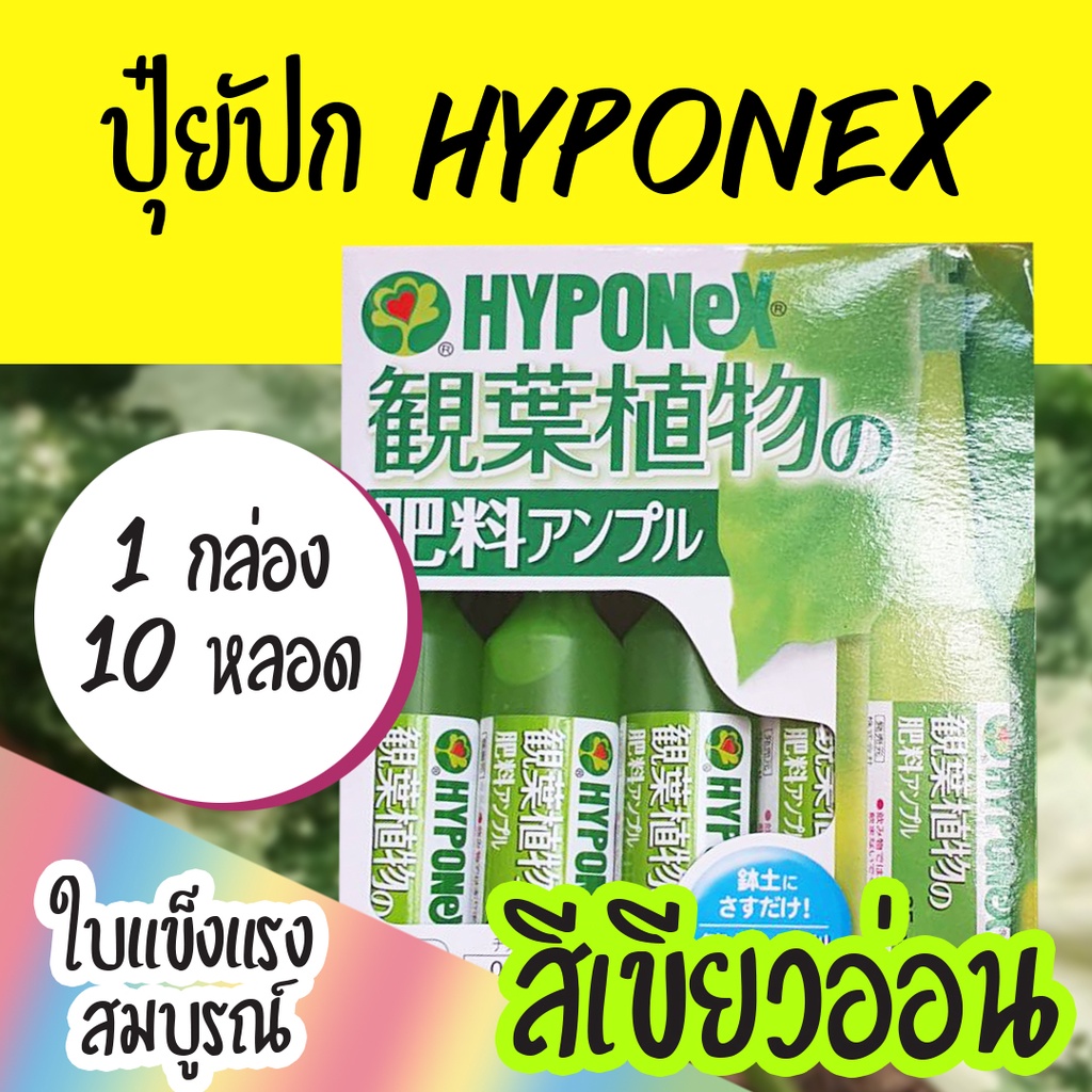 ปุ๋ยปัก ไฮโพเนกซ์ (Hyponex Ampoule) สีเขียวอ่อนสูตรไม้ใบ บำรุงใบให้แข็งแรง 1 กล่อง 10 หลอด ...