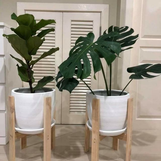 ขาตั้งกระถาง , กระถางต้นไม้พร้อมขาตั้ง 6",8",10" (ราคารวมส่ง) | Shopee ...
