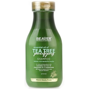 Beaver Tea tree purifying shampoo 350ml แชมพูขจัดกลิ่นอับ รังแค และความมันของเส้นผม ด้วยส่วนผสม ...