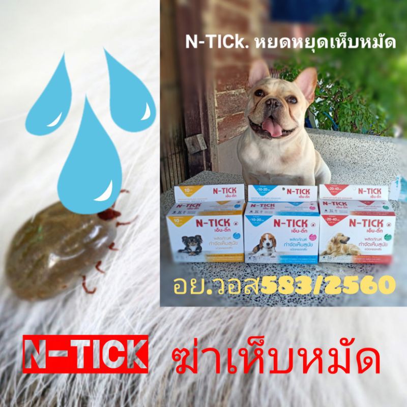 ยาหยด N-TICkฆ่าเห็บหมัดและไข่บนตัว. วอส. 583/2560 สุนัข N-TICk มี 3 ...
