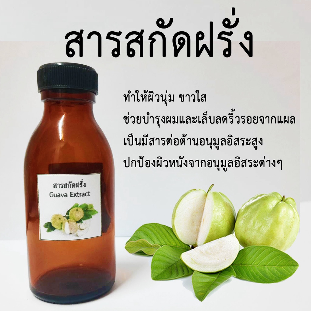 สารสกัดฝรั่ง Guava Extract 100 ml | Shopee Thailand