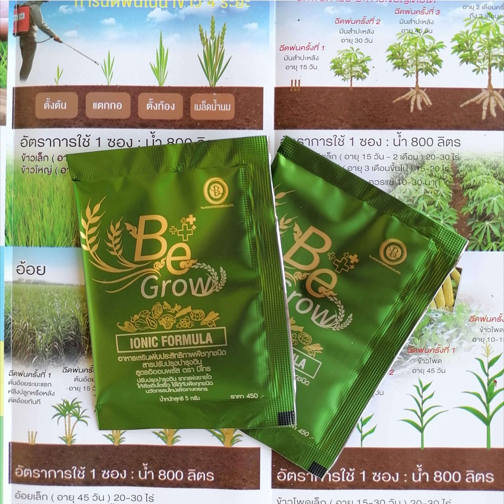 Be Grow บีโกร 2 ซอง สารเพิ่มประสิทธิภาพพืช | Shopee Thailand