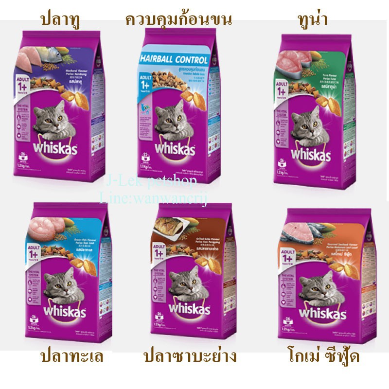 วิสกัสลูกแมวและแมวโต 450g.-480g | Shopee Thailand