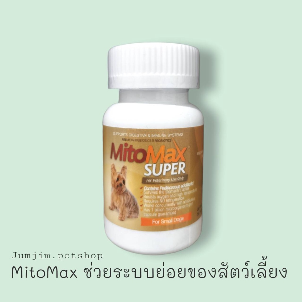 Mitomax Super Premium Probiotic โปรไบโอติก อาหารเสริม สุนัขช่วยในระบบ ...