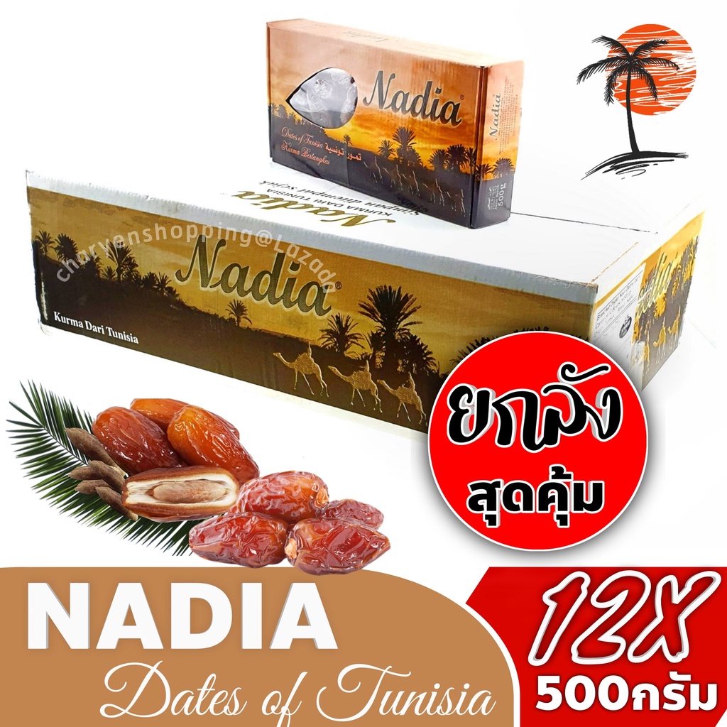 Nadia อินทผาลัมTunisia Deglet Nour 12x500 กรัม (ยกลัง) | Shopee Thailand