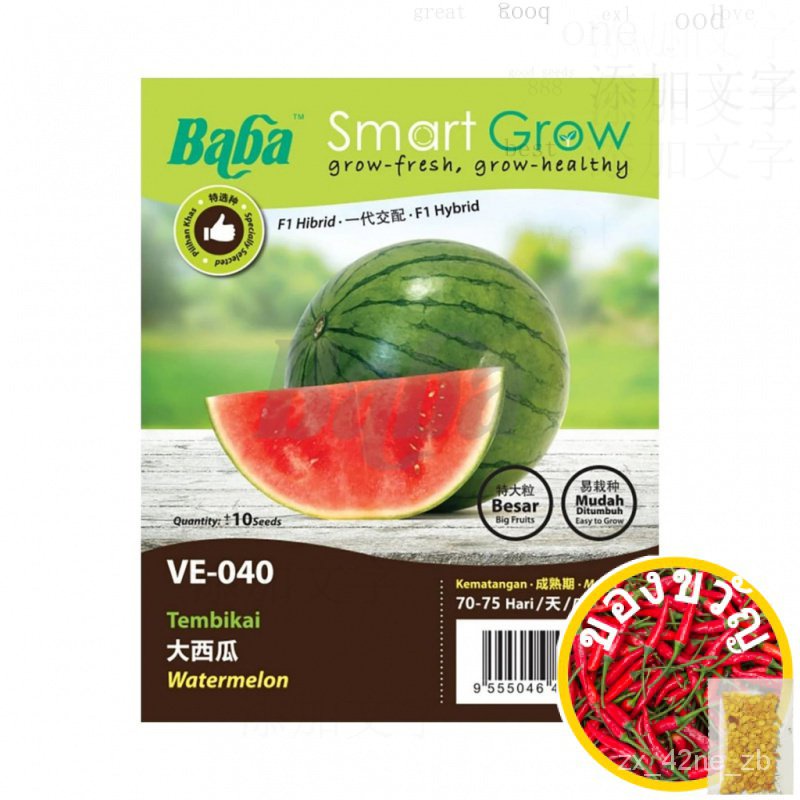 BABA SEED Baba Smart Grow Seed:VE-040 Watermelon/ Tembikai/แตงโมขนาด ...