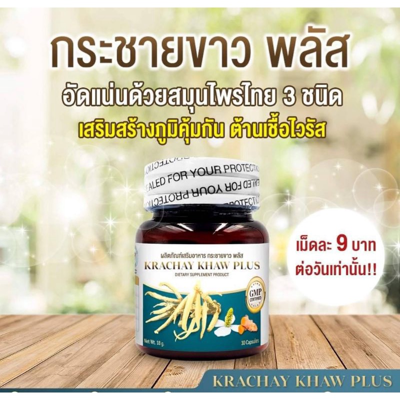 กระชายขาว พลัส KRACHAY KHAW PLUS ผ่านมาตรฐานรับรอง GMP | Shopee Thailand
