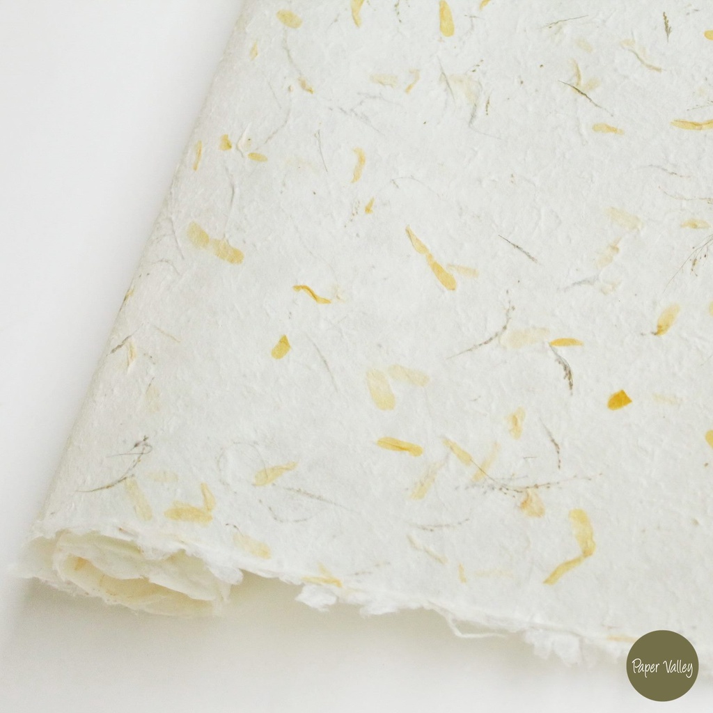 Paper Valley กระดาษสาแฮนด์เมดใส่ใบมะขามย้อมสี Handmade Kozo Paper with ...