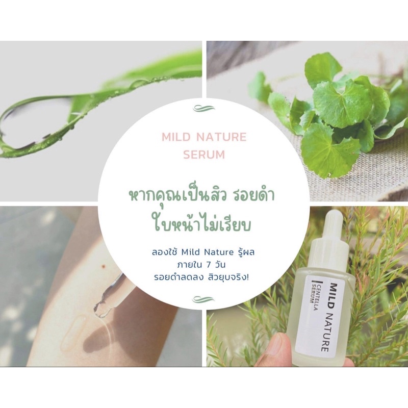 Mild Nature Serum มายด์เนเจอร์ เซรั่มเซรั่มใบบัวบกเข้มข้น | Shopee Thailand