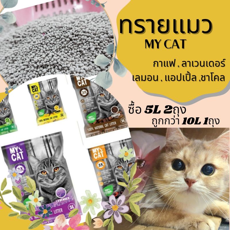 ทรายแมว MY CAT มีราคาส่ง ส่งฟรี ใช้code ตั้งแต่ชิ้นแรก MyCat | Shopee Thailand