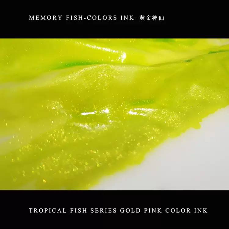 (พรีออเดอร์ 15-30 วัน) COLLOR INK น้ำหมึกกลิตเตอร์ สำหรับวาดรูปหรือ ...