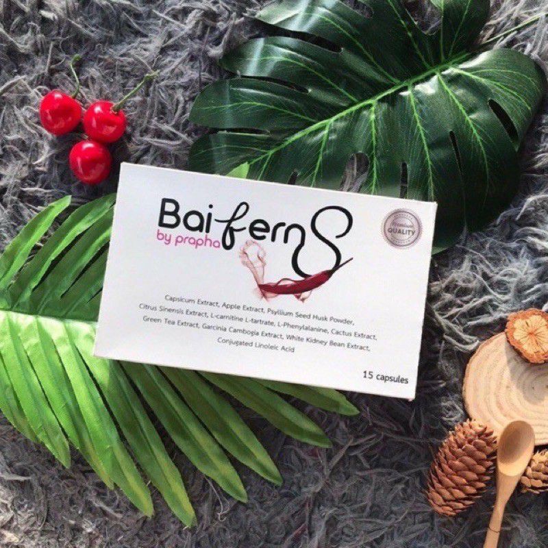 Bai fern S (ใบเฟิร์นเอส) | Shopee Thailand