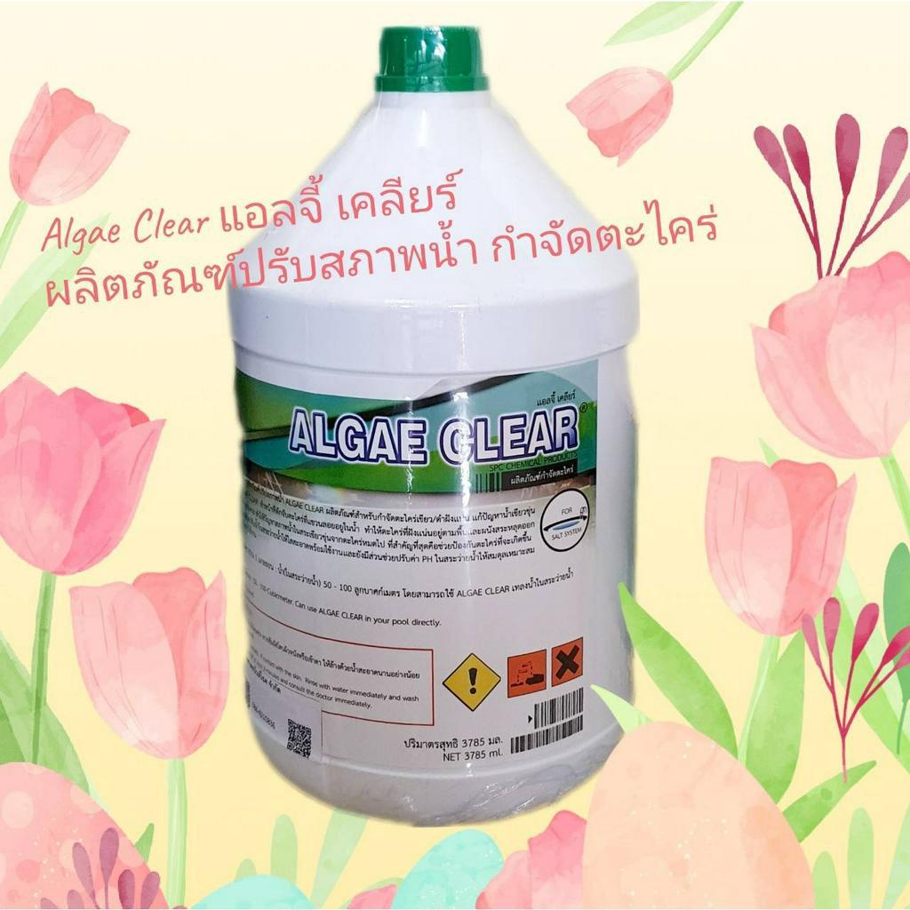 Algae Clear (แอลจี้ เคลียร์) 3.8 ลิตร ผลิตภัณฑ์ปรับสภาพน้ำ สำหรับกำจัด ...