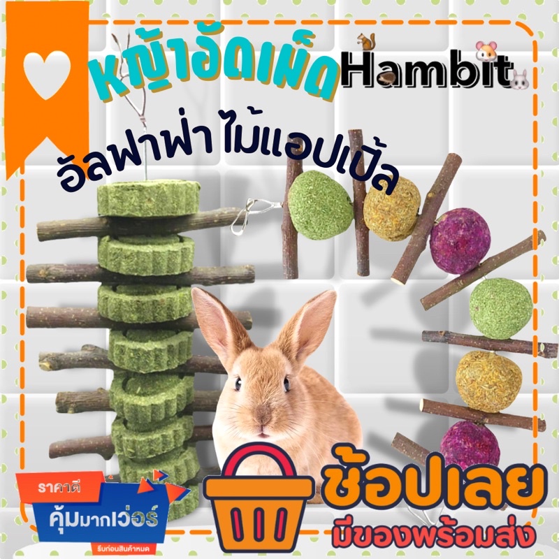 Hambit. หญ้าอัดแท่งสำหรับกระต่าย ดอกไม้อัดก้อน เกรดพรีเมี่ยม | Shopee ...