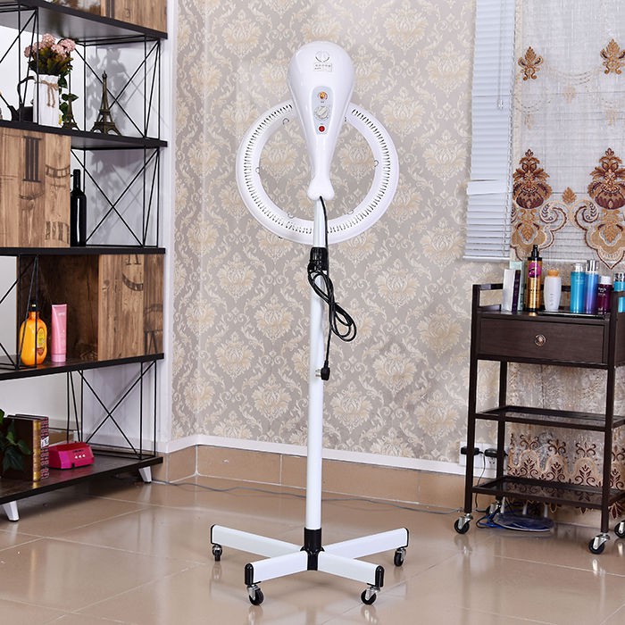 Hair styling equipment Hair perm machine, hair constant temperature and ...